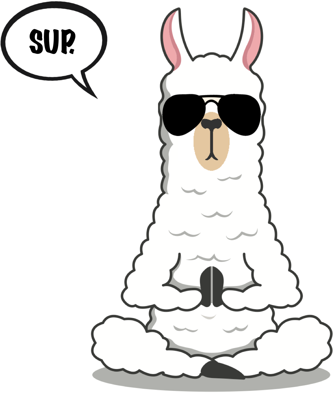 Llama Life - Find Your Focus